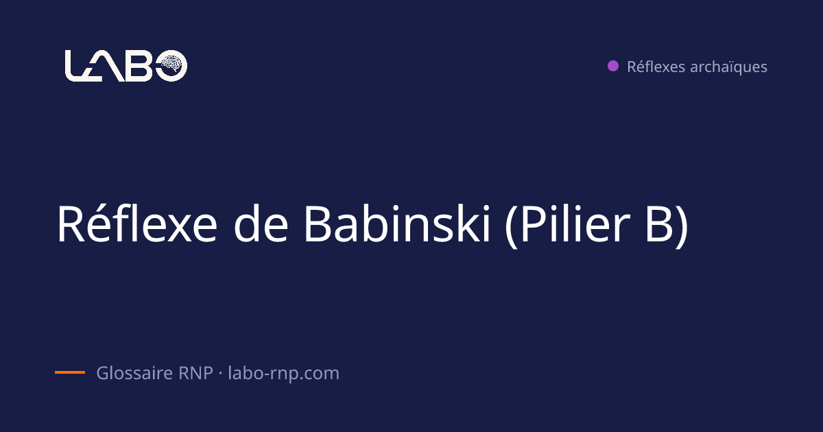Réflexe de Babinski (Pilier B) — Glossaire RNP | LabO RNP | LabO RNP